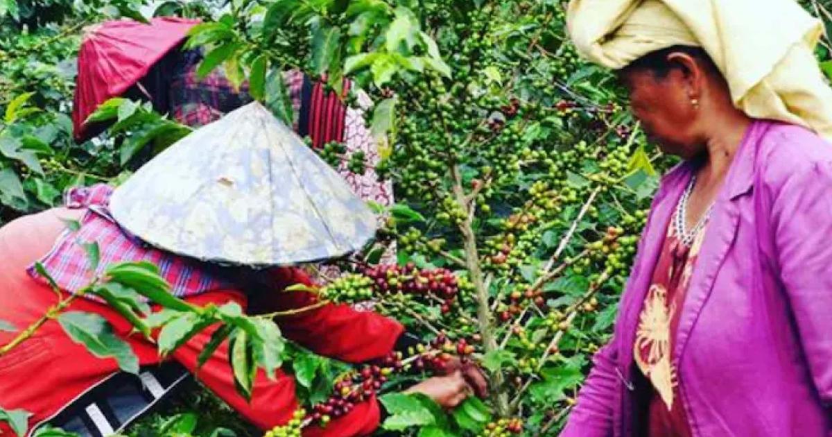 The Rabobank and Rabobank Foundation