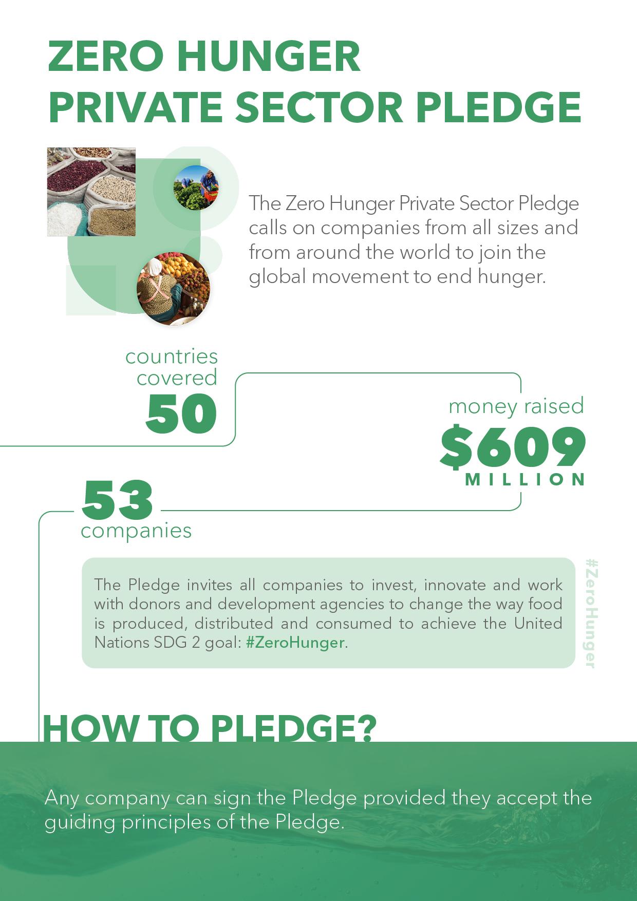 How to pledge? The Zero Hunger Private Sector Pledge
